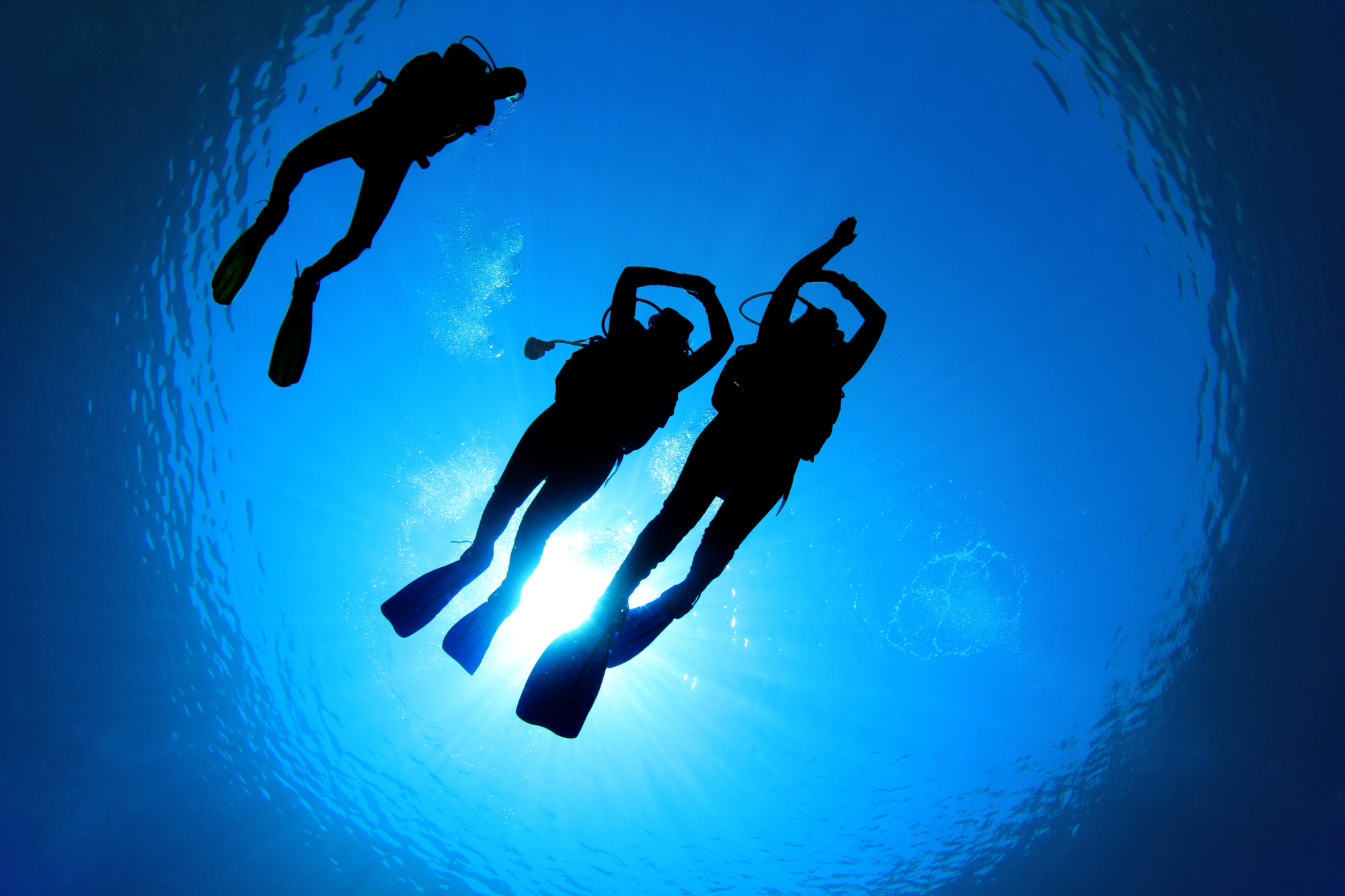 Homepage - Divemaster Internship
